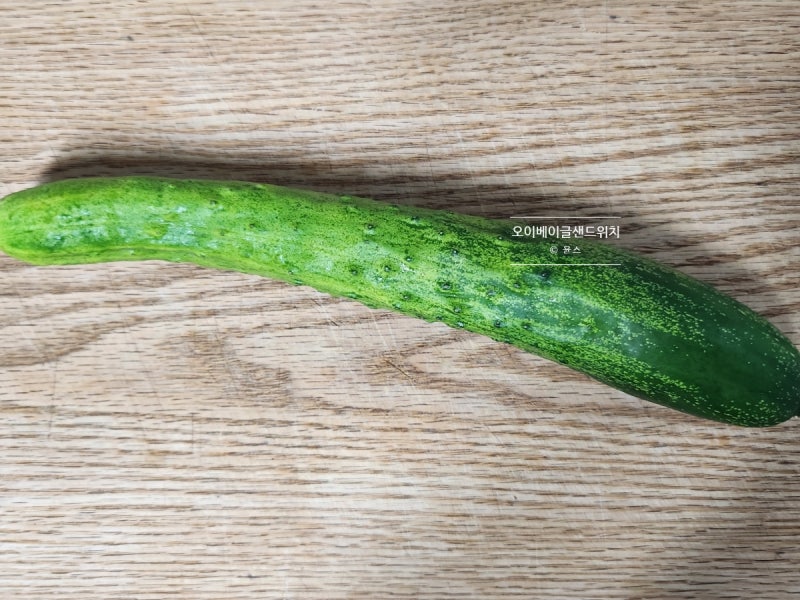 간단 베이글 샌드위치 레시피 베이글 맛있게 먹는법 오이샌드위치 네이버 블로그
