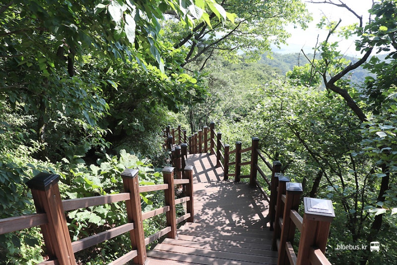 김포 가볼만한곳 문수산 초보 등산 코스 산림욕장 네이버 블로그