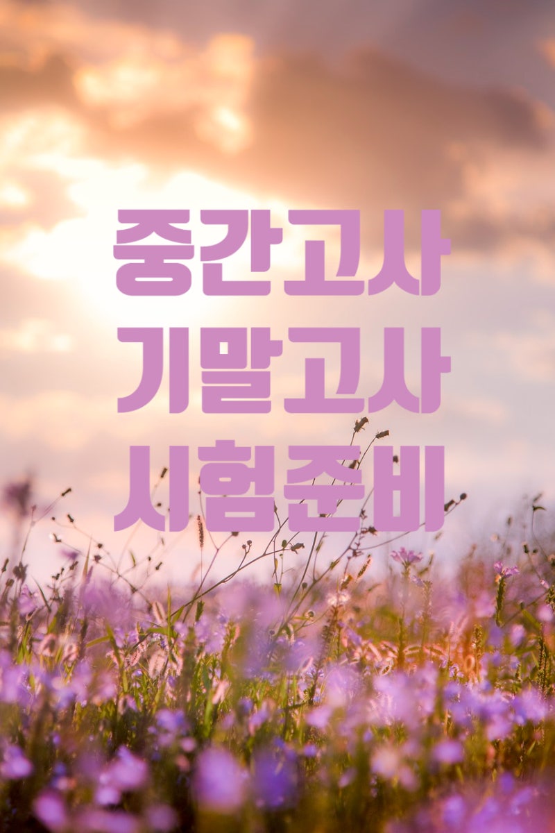 중간고사기말고사 시험을 준비하는 효과적인 방법 네이버 블로그
