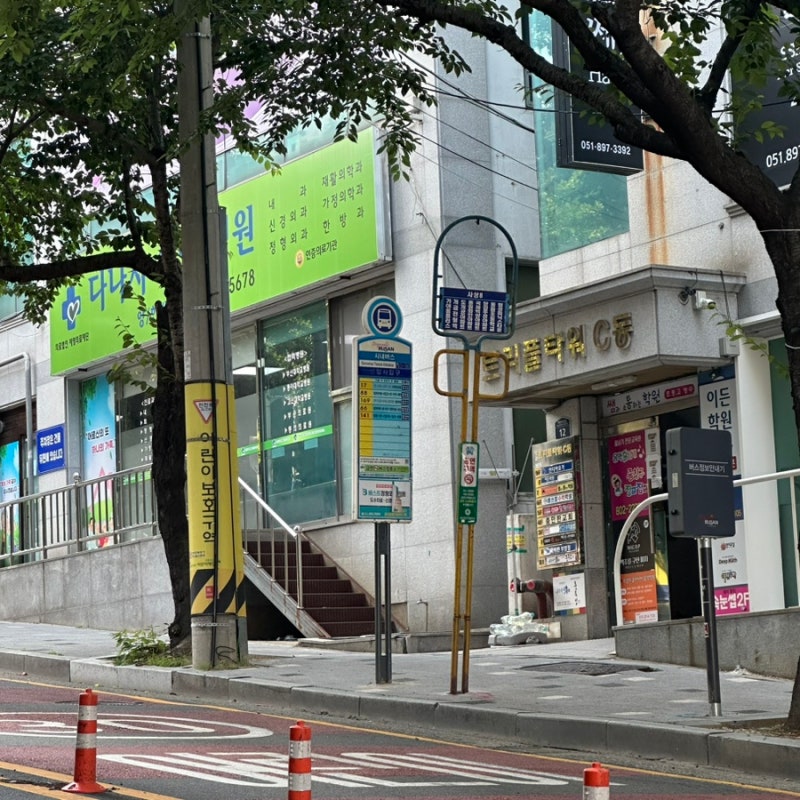 부산 백양산 등산코스 초보자 왕복 3시간 선암사~애진봉~정상 네이버 블로그