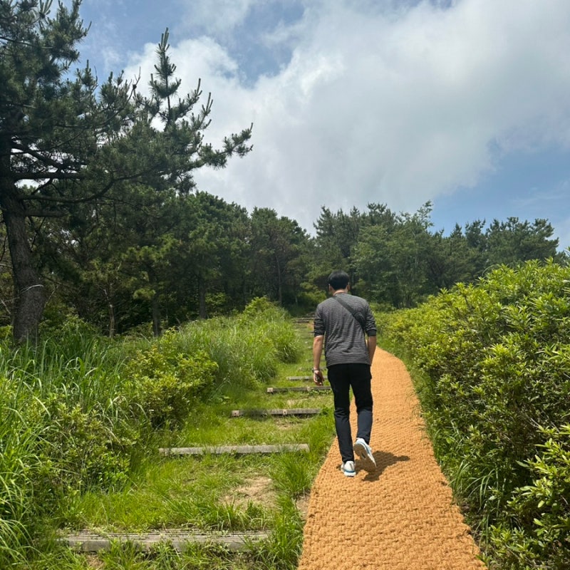 부산 백양산 등산코스 초보자 왕복 3시간 선암사~애진봉~정상 네이버 블로그