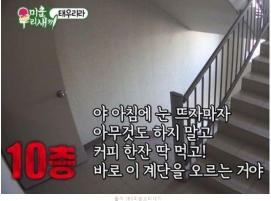 계단오르기 효과 여자 뱃살 빼는 법 아파트 계단 운동방법 칼로리 스텝밀 스텝퍼 실내 유산소 운동 기구 추천 네이버 블로그