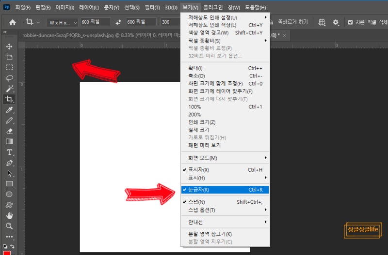 포토샵 사진 자르기 활용해 여권 사진과 미국 비자 사진 규격 사이즈에 맞추기 네이버 블로그