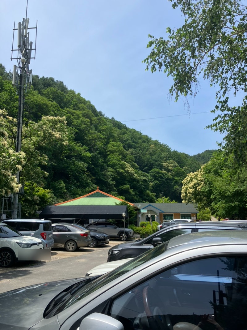 계곡에 발 담그고 먹는 닭백숙 춘천 명월촌 네이버 블로그