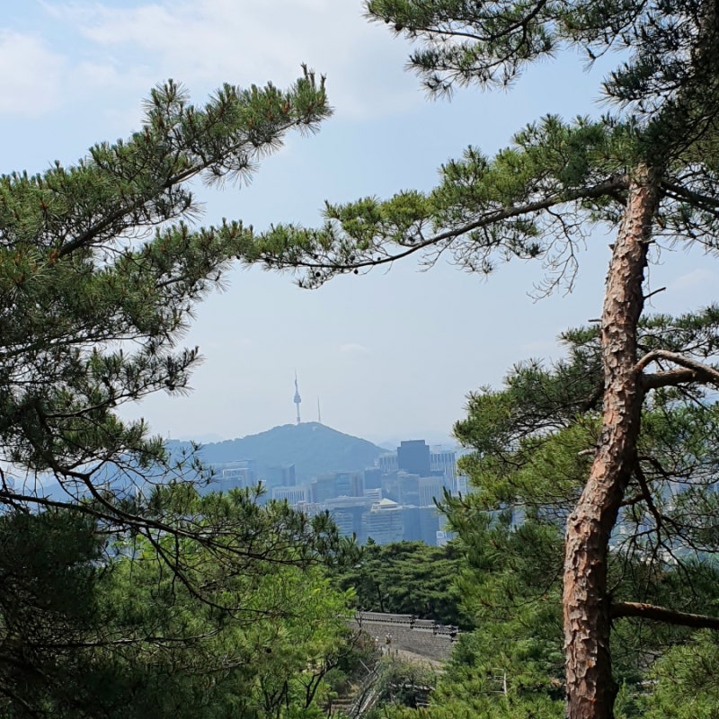 등산화 필요 없는 북악산 초보 코스 청와대 둘레길 2시간이면 충분한가요 네이버 블로그