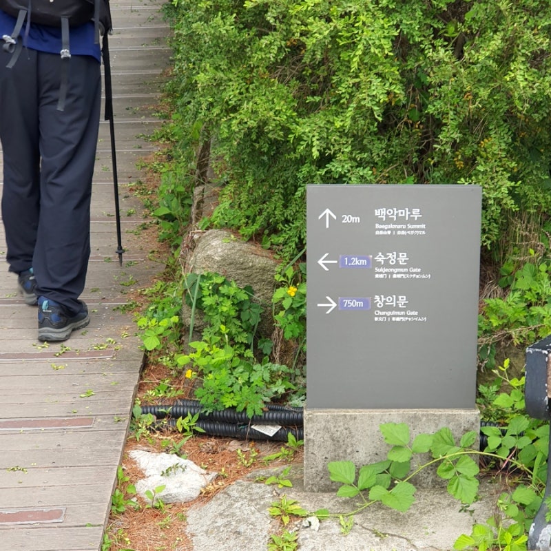 등산화 필요 없는 북악산 초보 코스 청와대 둘레길 2시간이면 충분한가요 네이버 블로그