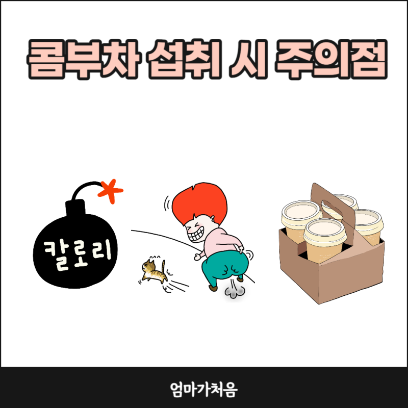 콤부차 효능 유래 섭취 시 주의점 부작용 하루몇잔 네이버 블로그