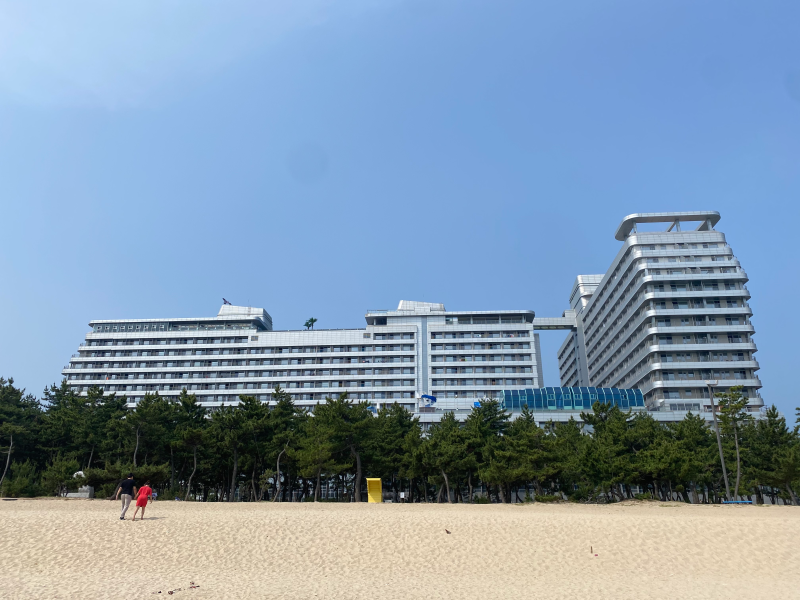 강릉 세인트 존스 호텔 고저스 오션뷰 트윈룸efl 라운지 포함 네이버 블로그