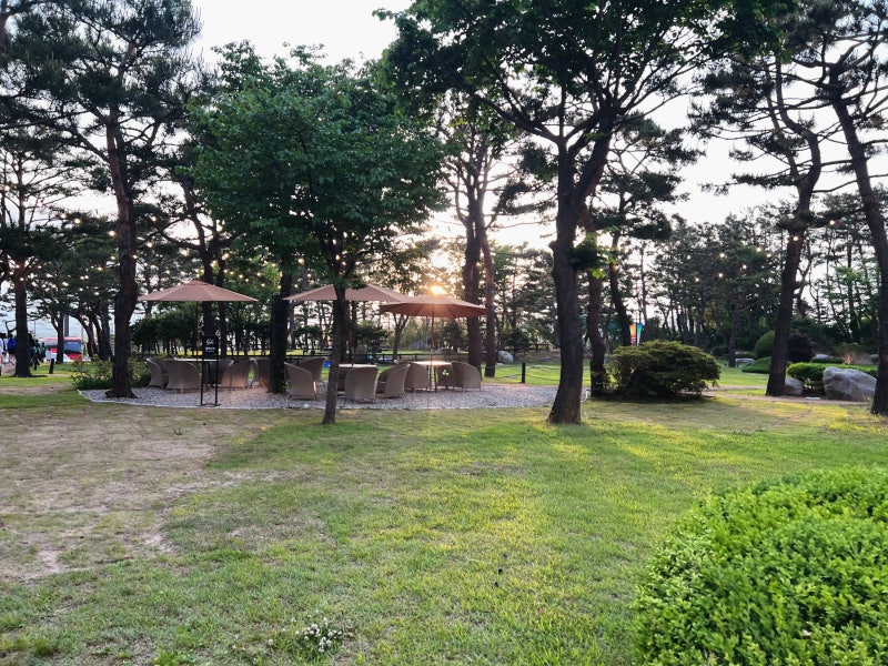속초 금호설악리조트 휴그린스위트 장단점 숙박 후기 네이버 블로그