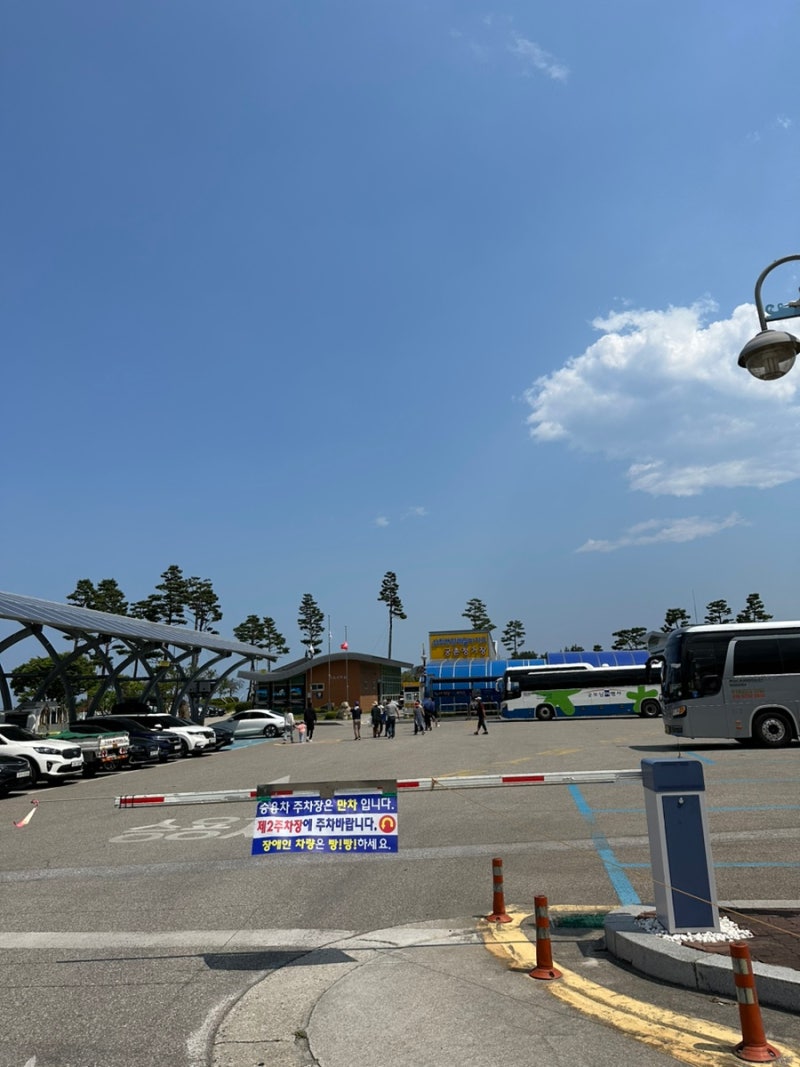 동해 삼척 2박 3일 여행 4탄 삼척 가볼만한 곳 삼척장미공원 해양레일바이크 궁촌정거장 네이버 블로그