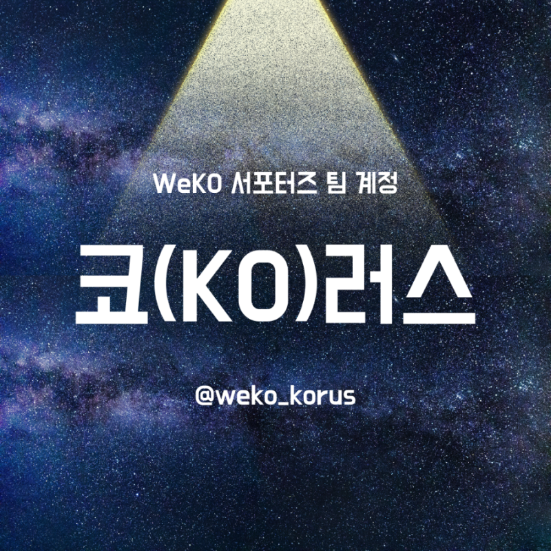 KOICA 글로벌 서포터즈 WeKO 4기가 알려주는 WeKO 5기를 위한 친절 가이드 (1편) : 네이버 블로그