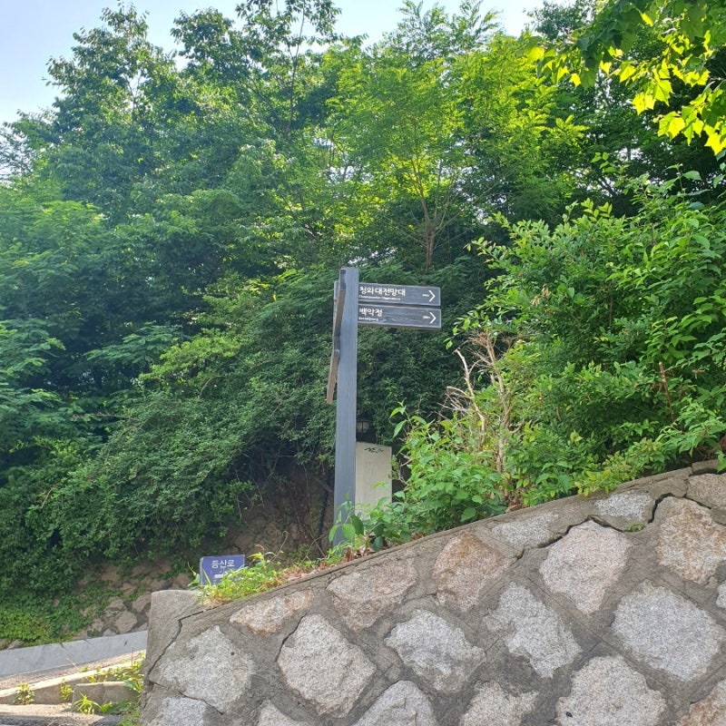 등산화 필요 없는 북악산 초보 코스 청와대 둘레길 2시간이면 충분한가요 네이버 블로그