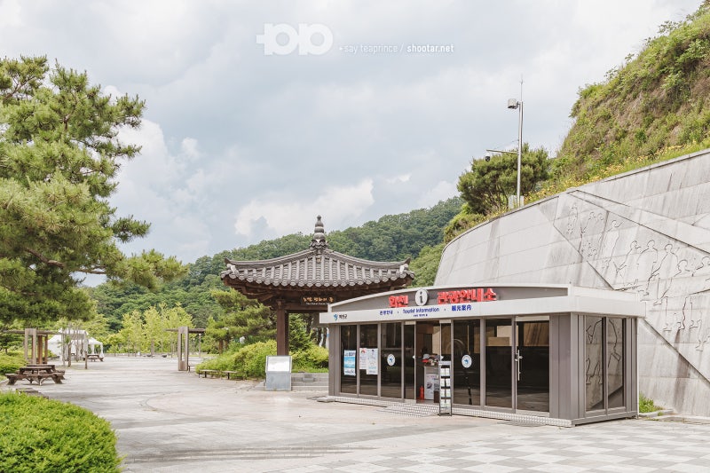 강원도 화천 1박 2일 Dmz 여행 코스 🕊️ 파로호 유람선 평화누리호 평화의 댐 투어 네이버 블로그