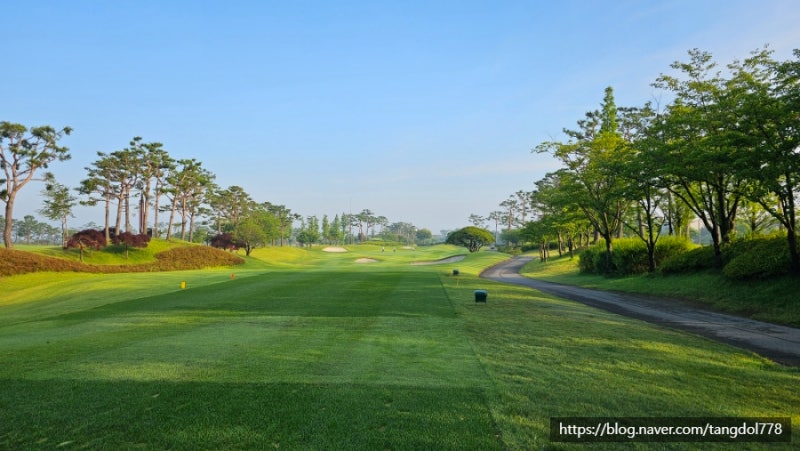 파인스톤CC 골프 라운딩후기 : 네이버 블로그