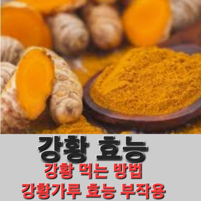 강황 효능 강황 먹는 방법 강황가루 효능 부작용 네이버 블로그