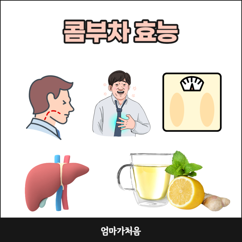콤부차 효능 유래 섭취 시 주의점 부작용 하루몇잔 네이버 블로그