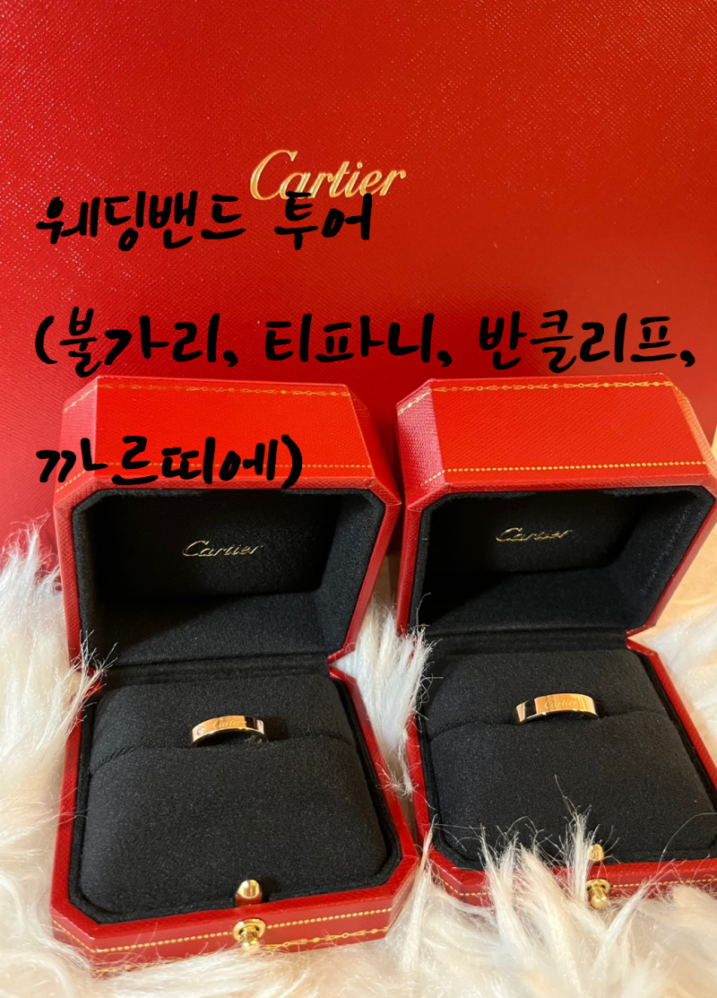 W5 압구정갤러리아 웨딩밴드 투어불가리 티파니 반클리프 아펠 까르띠에 까르띠에로 Pick 네이버 블로그