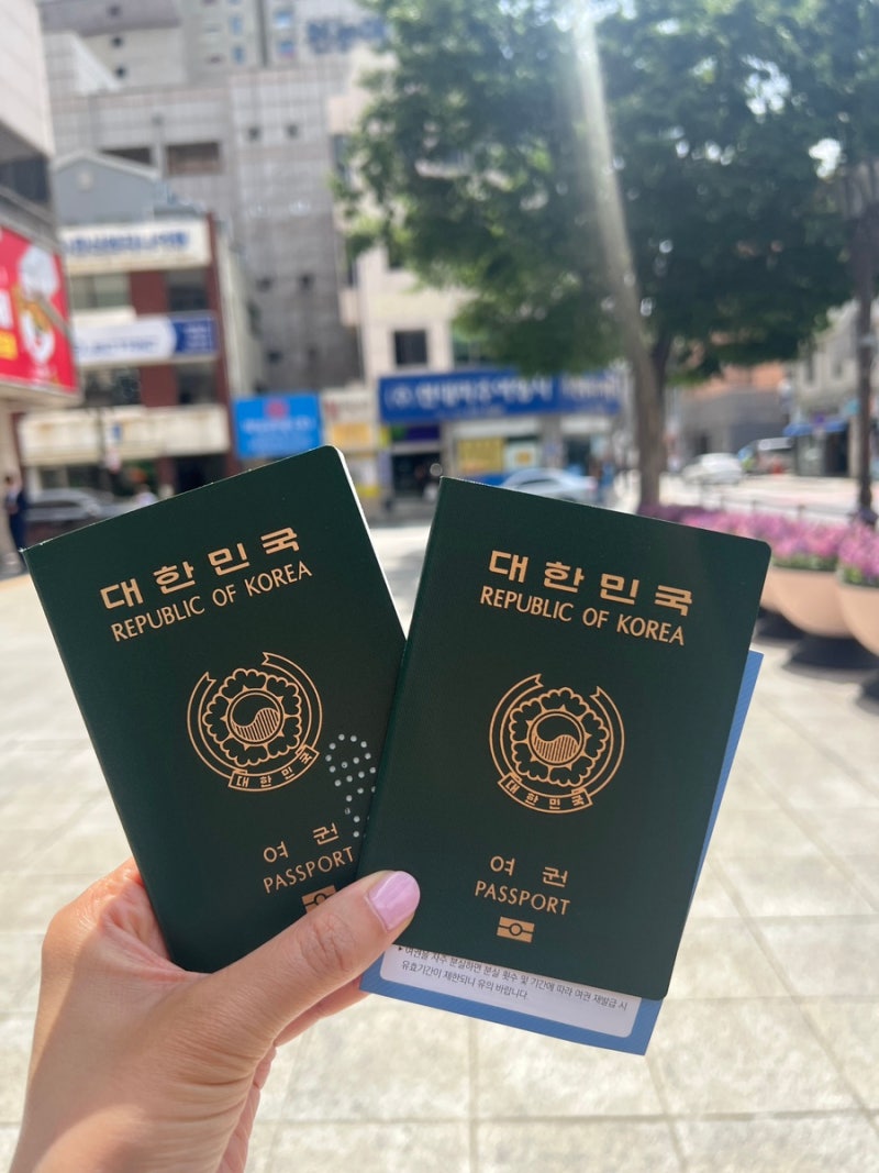 온라인 여권 재발급 신청 방법 여권 구여권 발급여권 종류별 비용 네이버 블로그
