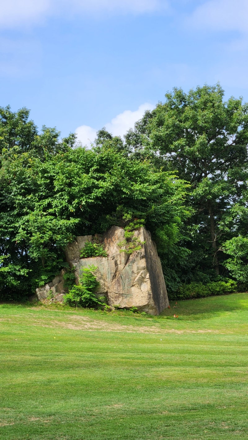 센츄리21CC 회원제 코스 라운드 후기 변별력 있고 재밌어요. 무기명회원권 정보 알아봅니다. : 네이버 블로그