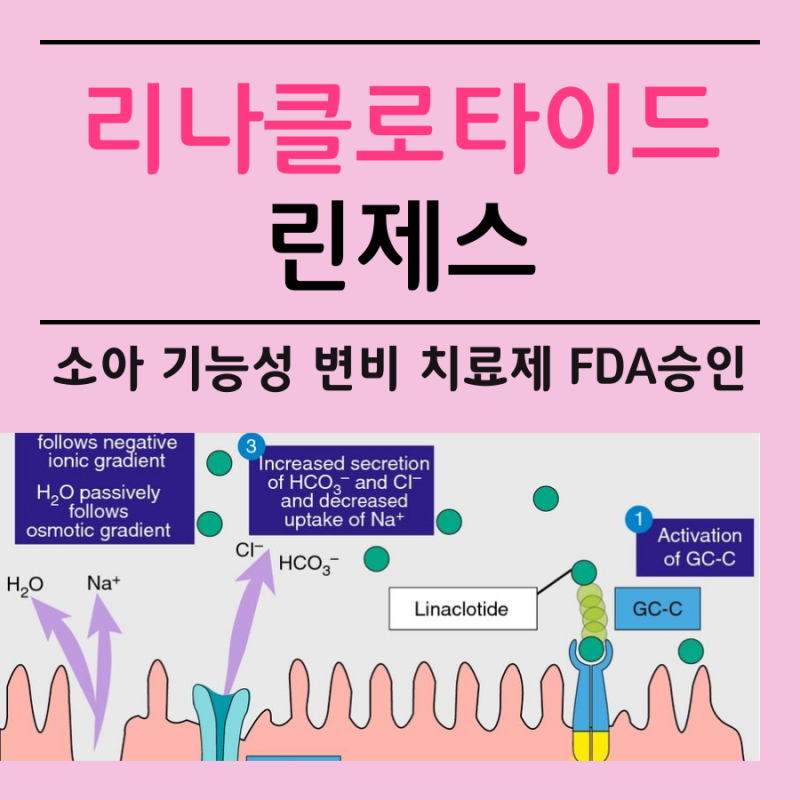 리나클로타이드 (linaclotide, 린제스, Linzess), 소아 기능성 변비 치료제 FDA승인 : 네이버 블로그