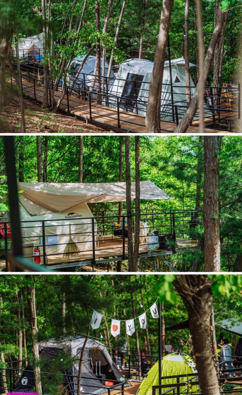 블루문캠핑장 한여름에도 시원한 숲속사이트에서 하루종일 힐링타임 가평 숲뷰 캠핑장 추천 블루문캠핑장 숲 속 2사이트 후기