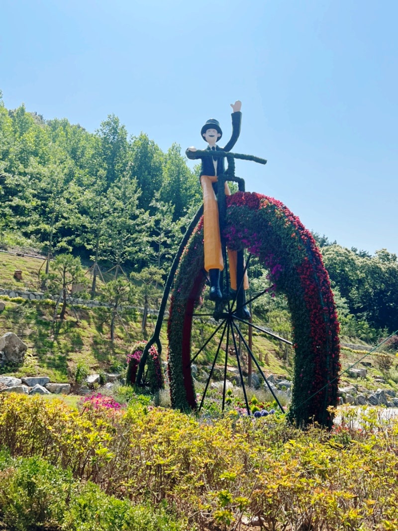 강화 교동 가볼만한곳 당일치기 대룡시장 평화전망대 화개정원 모노레일 강화 교동도 여행 맛집 카페 Dmz 평화의길 코스