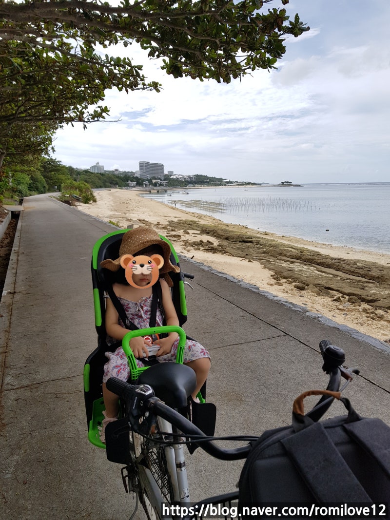 오키나와 비세자키 아이와 함께호텔 오리온 모토부 네이버 블로그