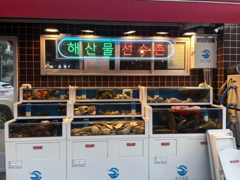 포항 영일대 포항현지인맛집추천 조개구이 문어숯불구이 맛집 삼바리 네이버 블로그