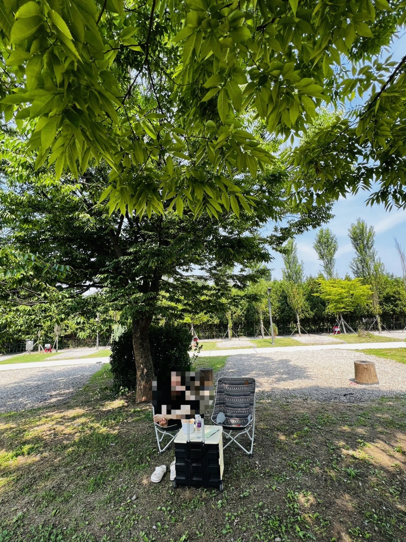난지캠핑장 예약하기와 사이트 소개 일반 캠핑존 A구역 이용후기 바비큐장과 주차장 매점 등 편의시설 네이버 블로그