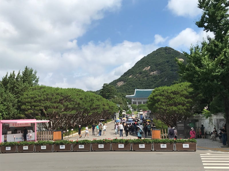 청와대 최적의 효율적인 관람코스 안내 및 관람 팁과 후기ft 산책로포함 네이버 블로그