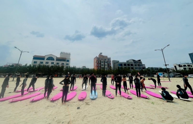 양양서핑 숙소 라운지파티까지 솔게스트하우스 추천 양리단길 와이비자 함께 즐겨 네이버 블로그