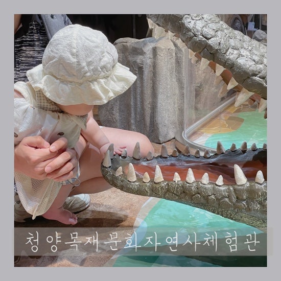 충남 아기랑 가기 좋은 곳 7개월 아기랑 가 본 청양 목재박물관 네이버 블로그