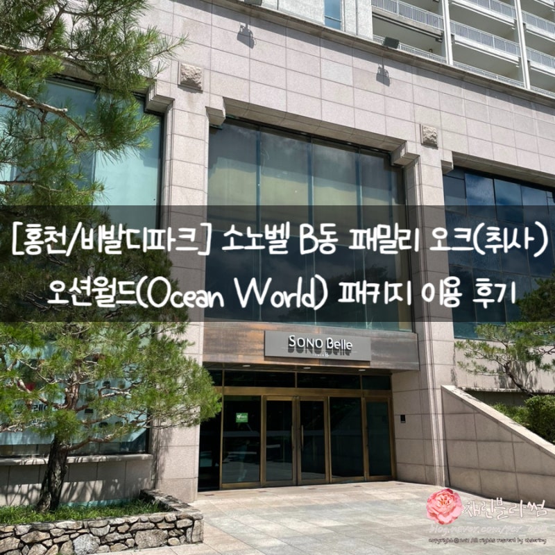 홍천비발디파크 소노벨 B동 패밀리 오크취사and오션월드ocean World 패키지 여기어때 Water Ful