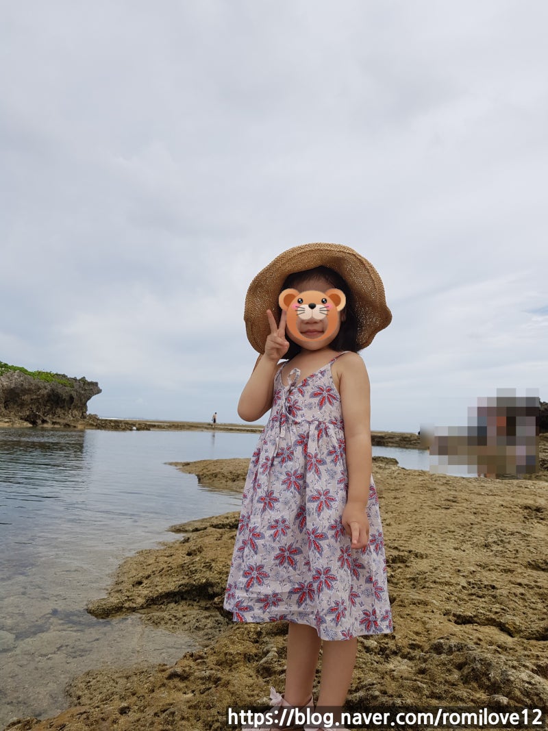오키나와 비세자키 아이와 함께호텔 오리온 모토부 네이버 블로그
