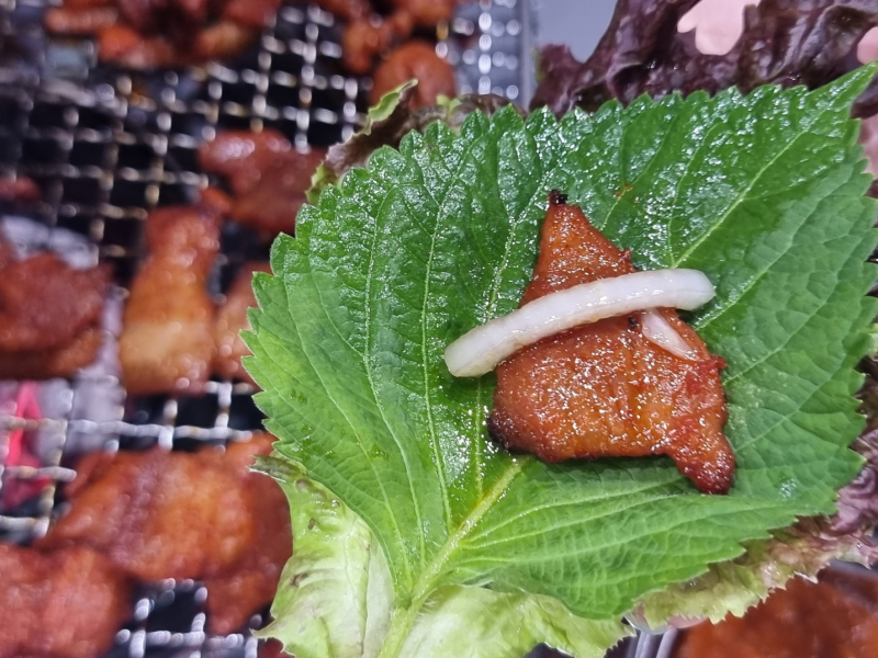 맛집 대구 월성동 고기집 다사오르막석쇠구이 월성점 네이버 블로그
