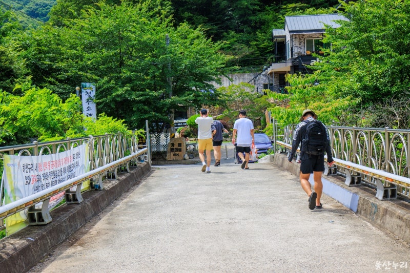 울산 철구소와 배내골 자연계곡에서 시원한 물놀이 네이버 블로그
