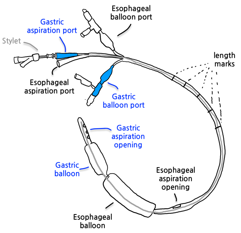 SB tube(Sengstaken - blakemore tube)의 모든 것 : 네이버 블로그