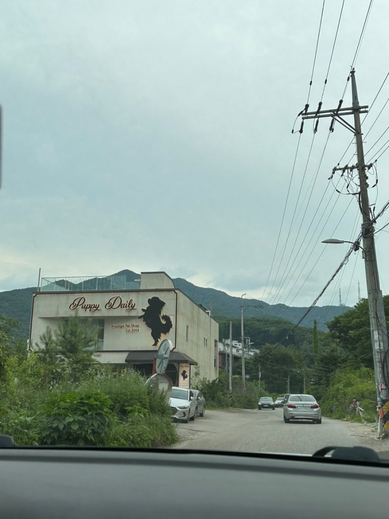 서울 근교 경기도 용인 고기리 계곡 물놀이 화장실 주차 : 네이버 블로그