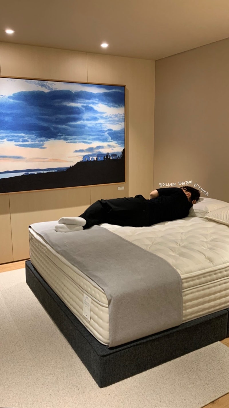 🕊️w.28 신혼부부침대 / 혼수매트리스 최종 결정 : 슬로우베드 플래그십스토어 논현 SLOU BED 🛌 • 체압 측정 서비스 ...