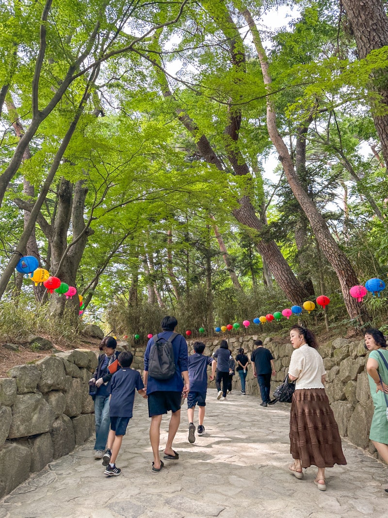 경주 여행 가볼만한곳 불국사 역사 설명 석가탑 다보탑 절 입장료 주차장 네이버 블로그