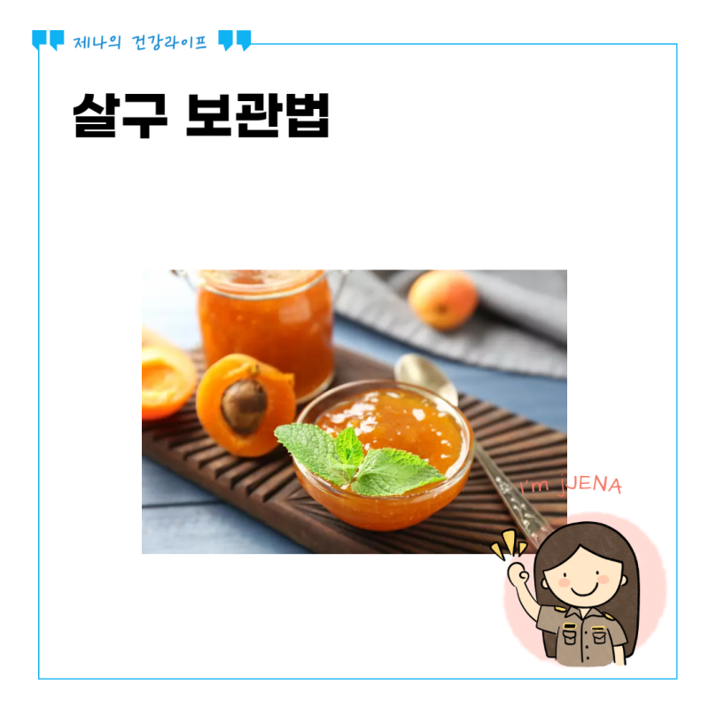 살구 살구씨 효능 부작용 먹는법보관법 칼로리 네이버 블로그