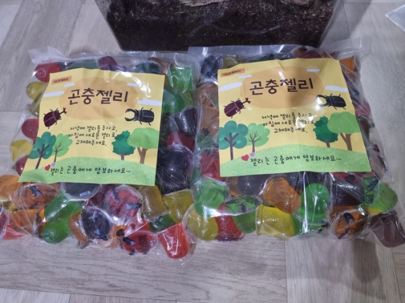 건강한 장수풍뎅이키우기를 위한 곤충사료 장수풍뎅이젤리 먹이 이야기 네이버 블로그