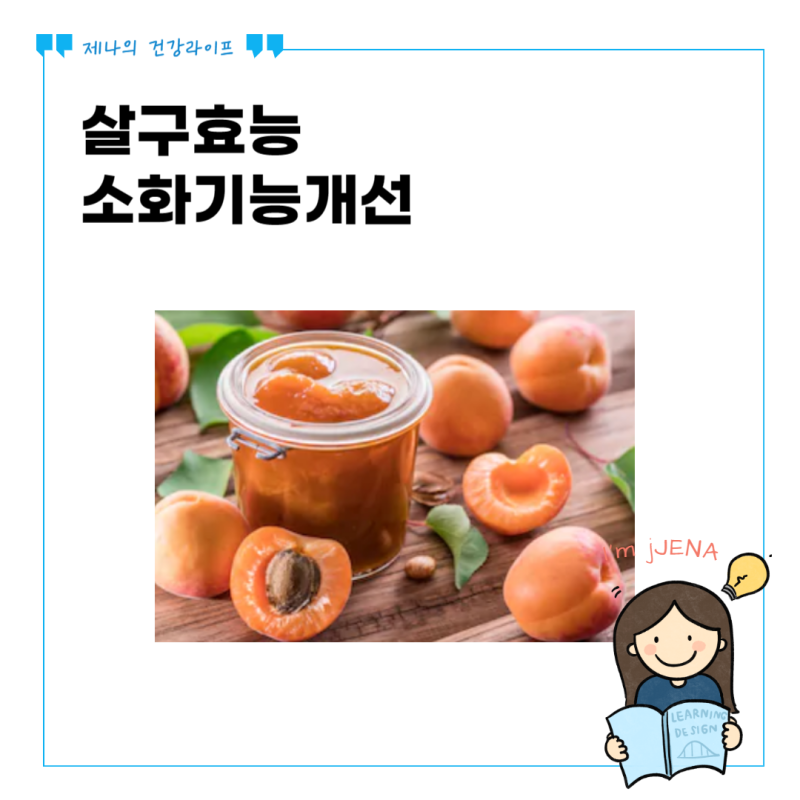 살구 살구씨 효능 부작용 먹는법보관법 칼로리 네이버 블로그