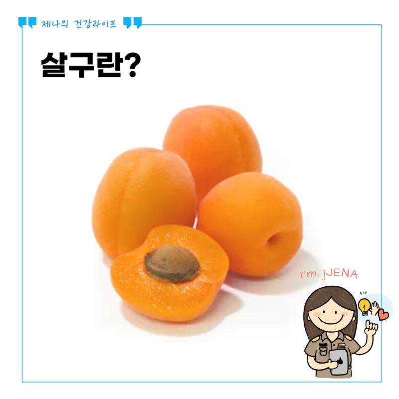 살구 살구씨 효능 부작용 먹는법보관법 칼로리 네이버 블로그