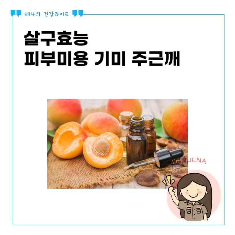살구 살구씨 효능 부작용 먹는법보관법 칼로리 네이버 블로그
