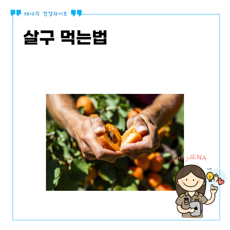 살구 살구씨 효능 부작용 먹는법보관법 칼로리 네이버 블로그