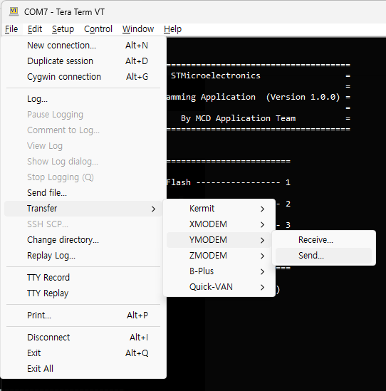 [STM32]UART Bootloader - IAP(In system Programming) with UART : 네이버 블로그