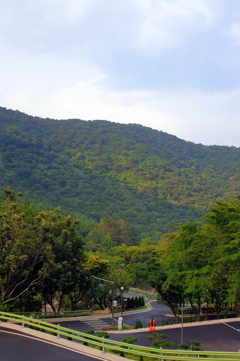 월아산 숲속의 진주 자연 휴양림 산림 휴양관 1박2일 다녀왔어요 네이버 블로그