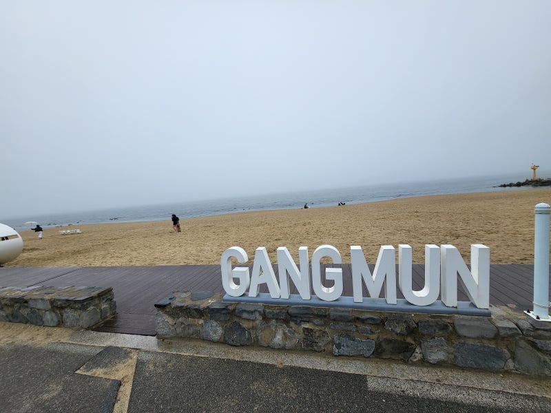 강릉 강문해변 강릉당 커피콩빵 안목해변 순두부젤라또 네이버 블로그