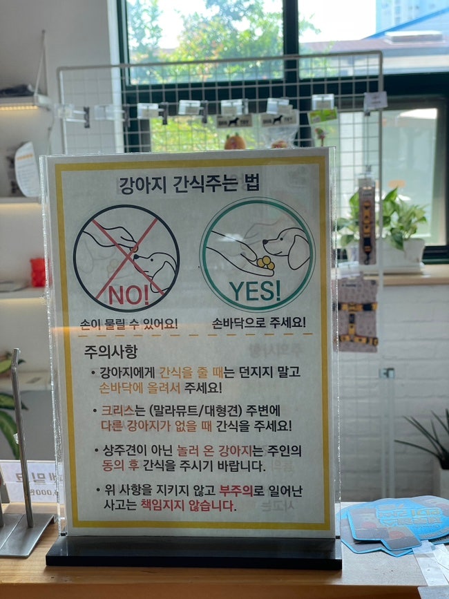 넓고 쾌적한 송정 기장 애견동반카페 피터펫 부산본점 100 추천후기 네이버 블로그